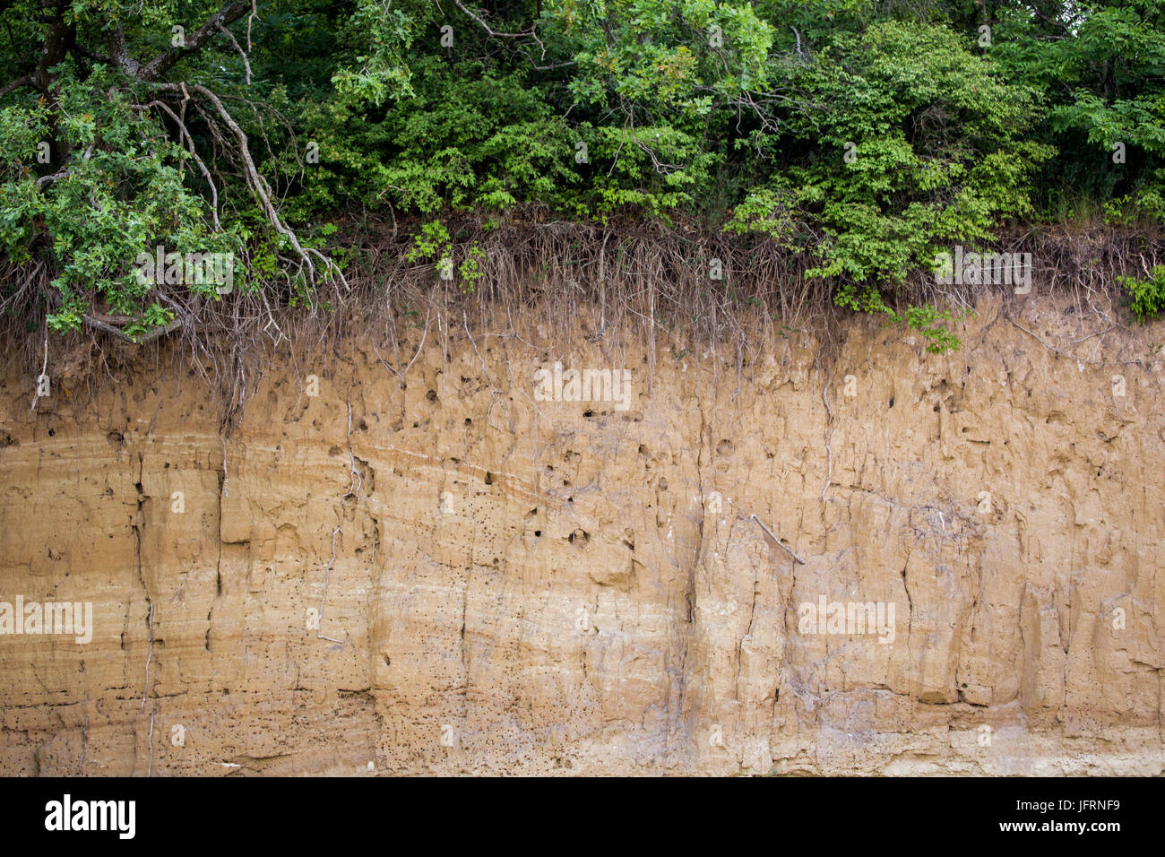 Abrupt bank of a river showing layers of plants, soil, sand, clay and ...