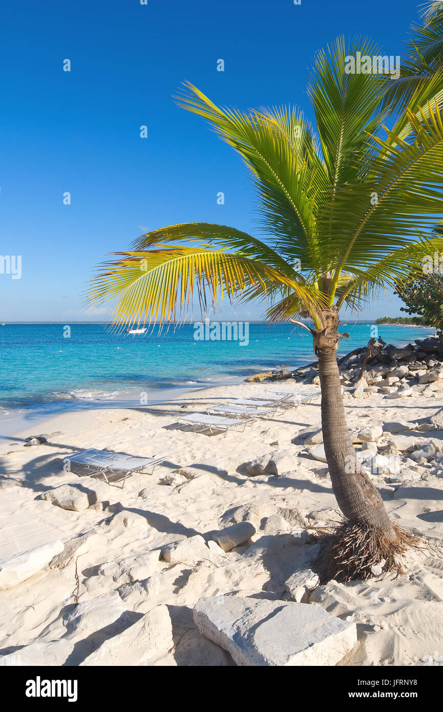 Catalina island - Playa de la isla Catalina - Caribbean tropical sea ...