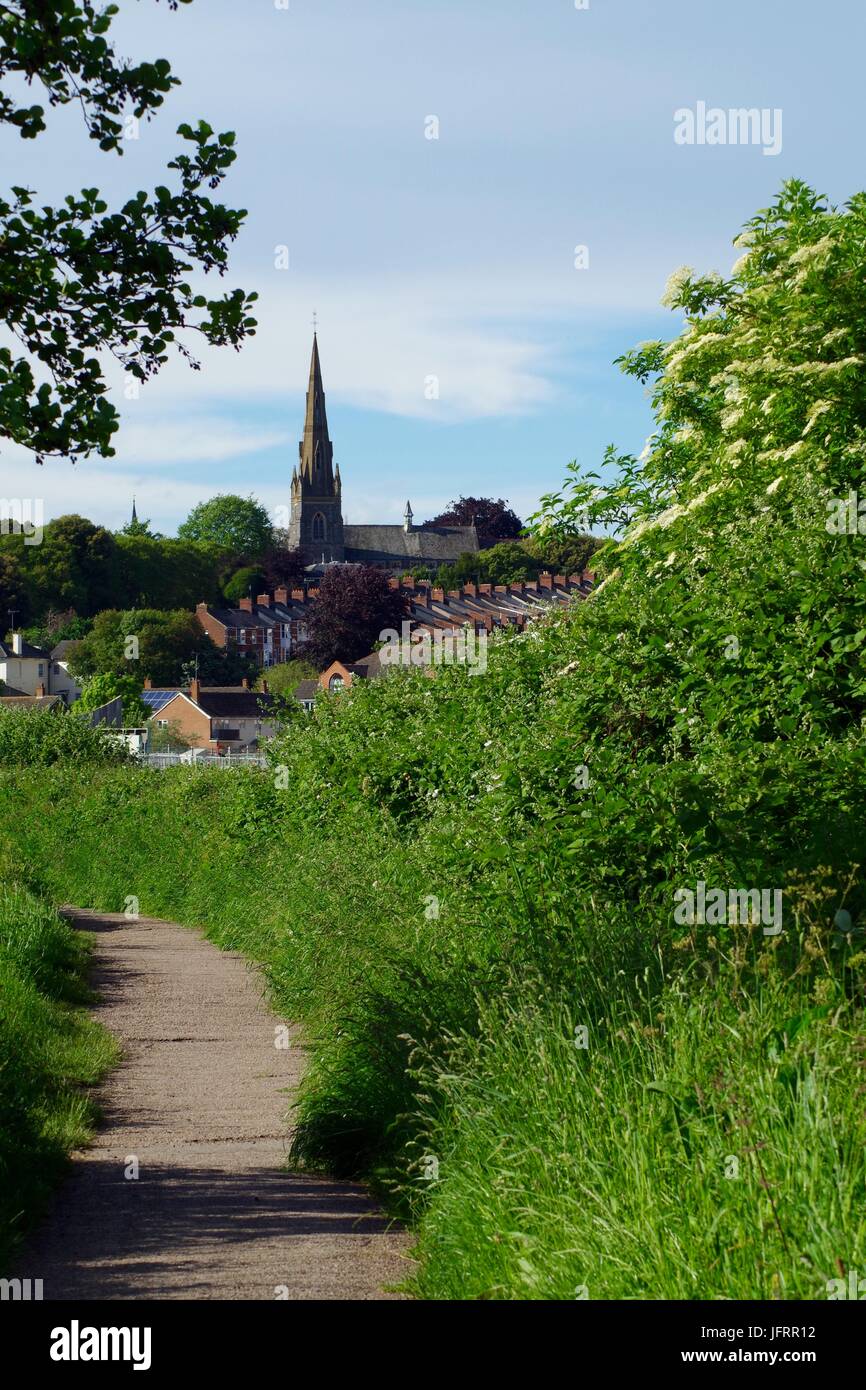 St Leonard's Church Spire beyond the Canal Path Beside Exeter's Ship ...