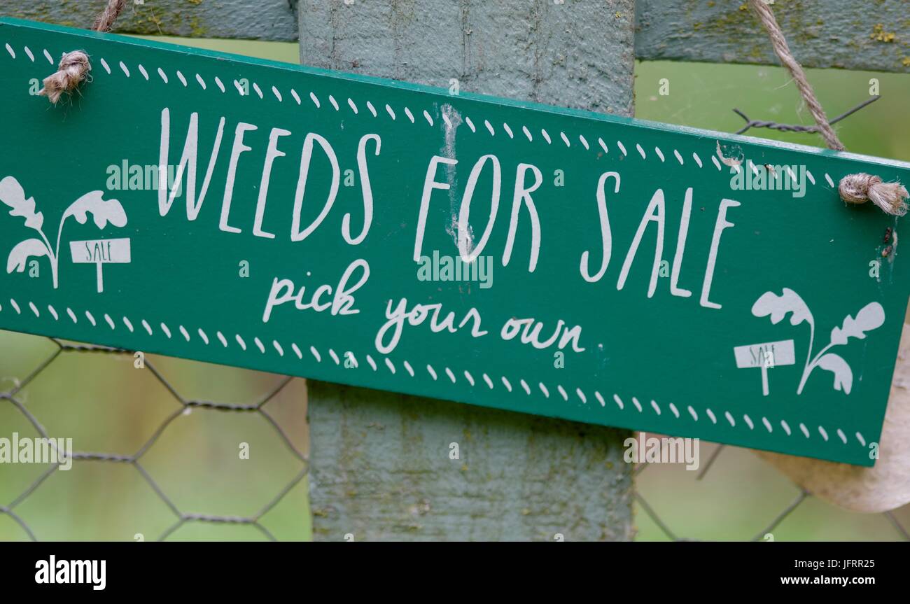 Weeds For Sale Sign on an Allotment Gate. Exeter, Devon, UK. July, 2017 ...