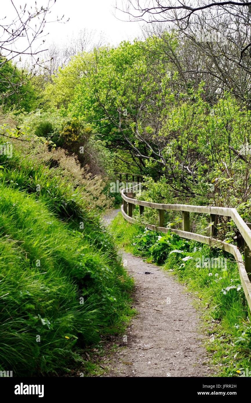 Long winding wood fence hi-res stock photography and images - Alamy