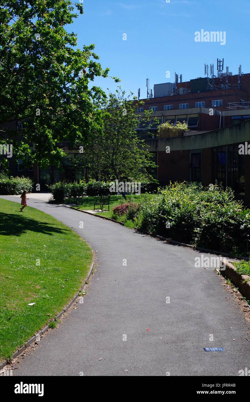 Northernhay Garden, Behind Exeter Library. Devon, UK. July, 2017 Stock ...