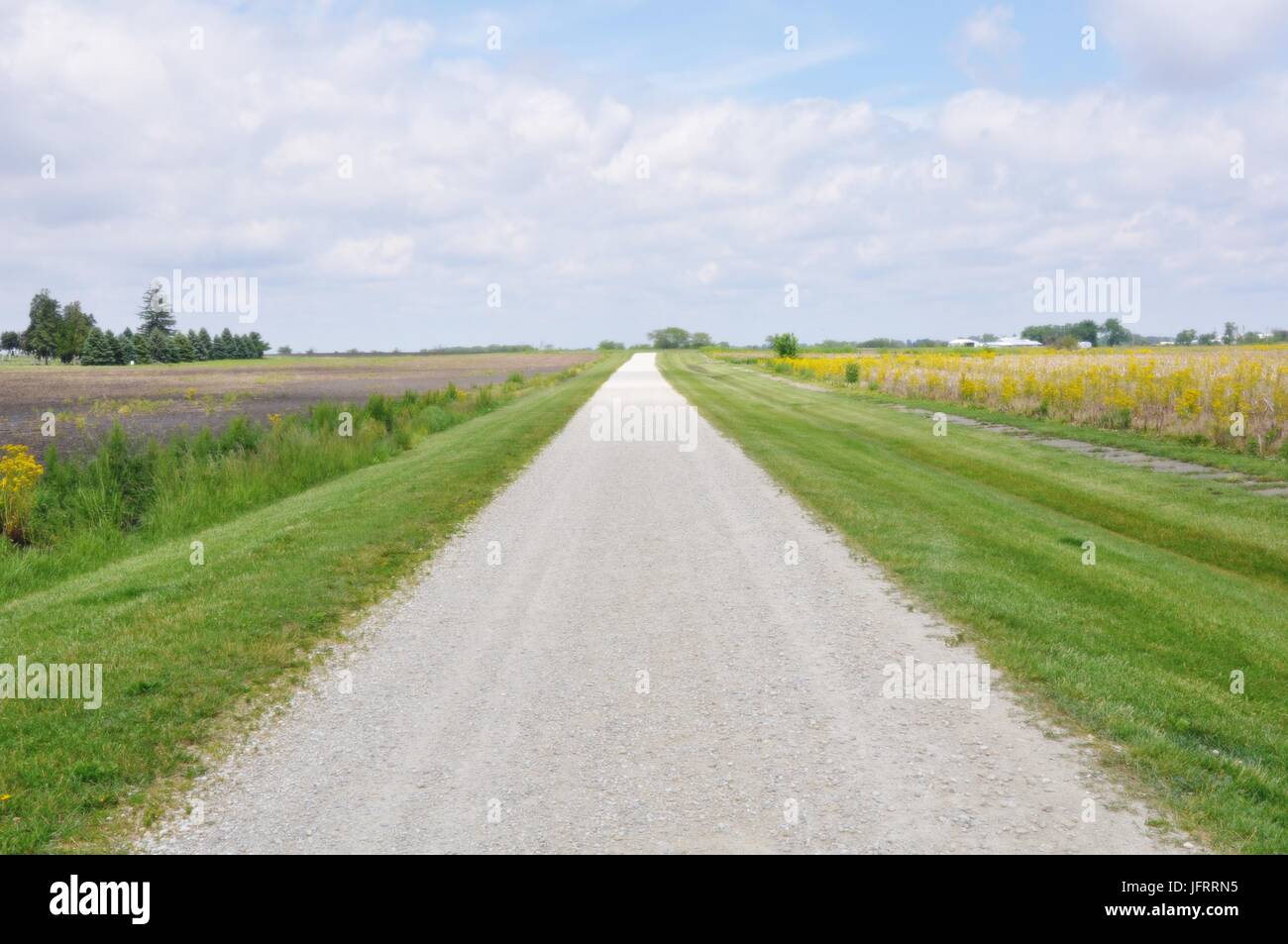Road through the green field Stock Photo - Alamy