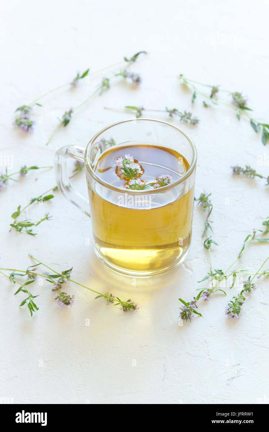 Healthy herbal tea with bunch of fresh wild thyme on white background ...
