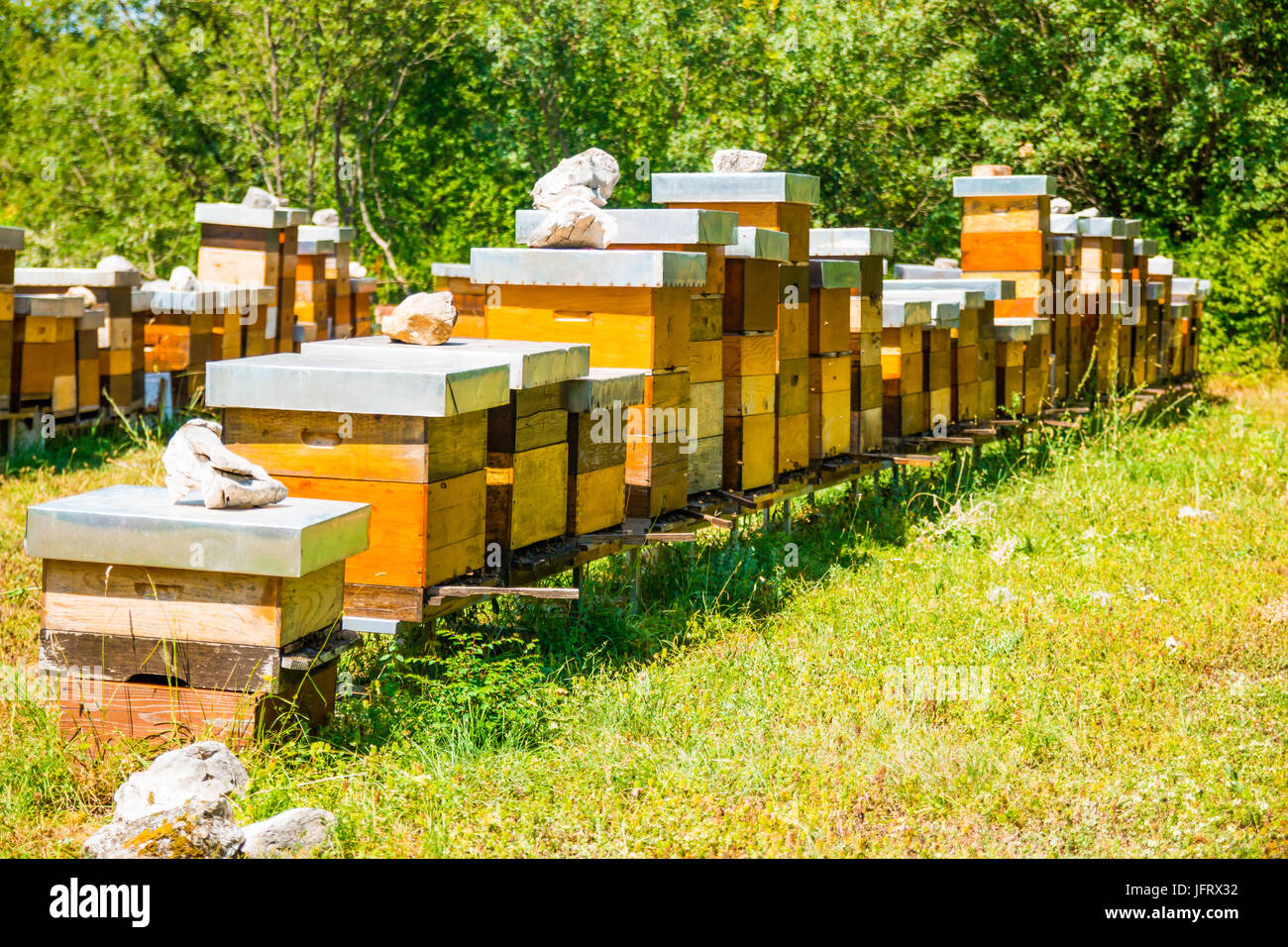 Queen bee boxes hi-res stock photography and images - Alamy