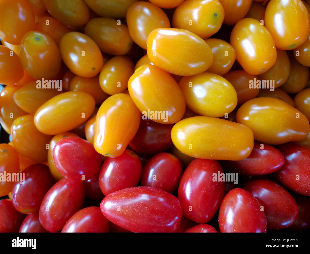Yellow and red cherry tomatoes Stock Photo - Alamy