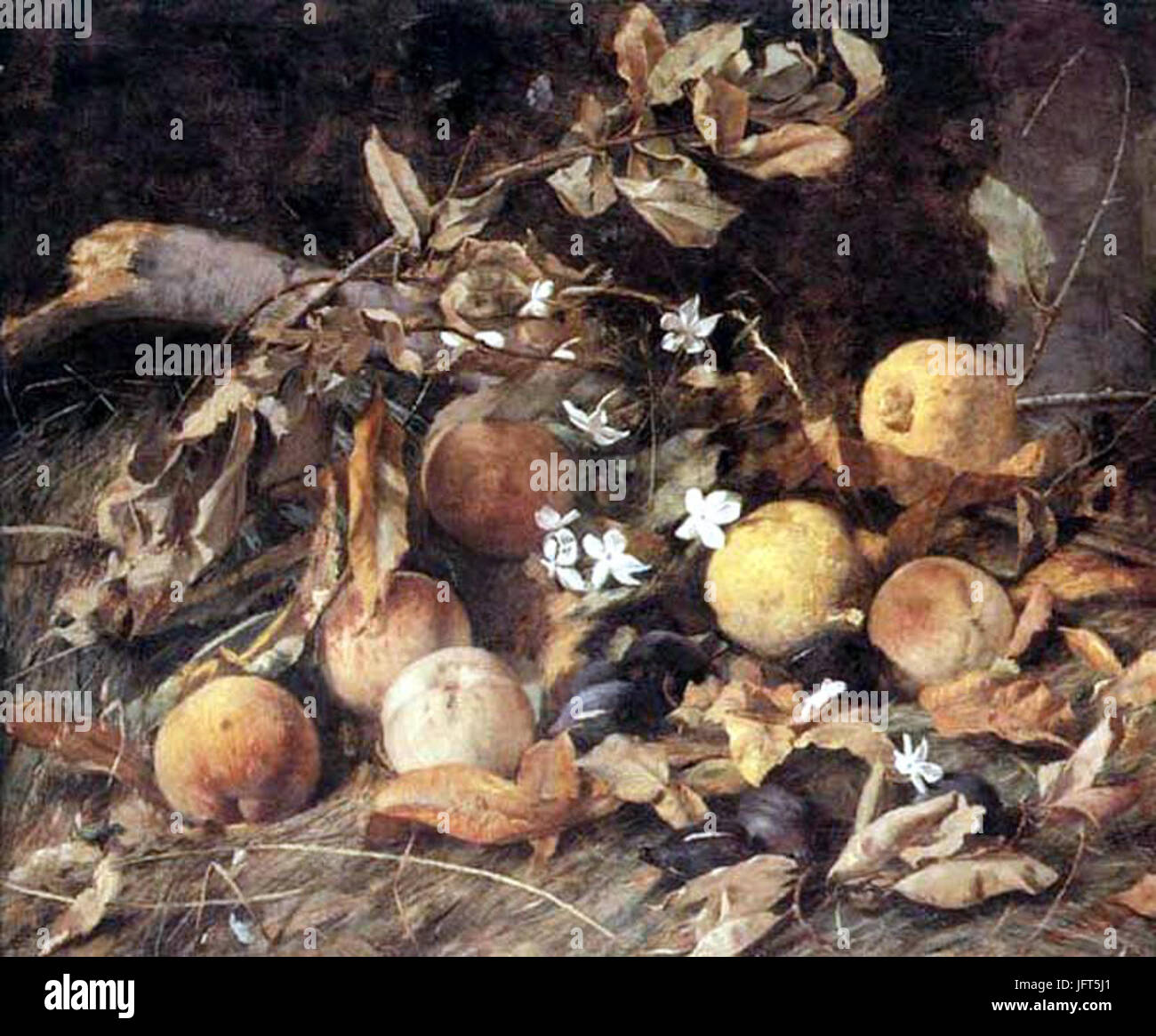 Bodegón con frutas Stock Photo - Alamy