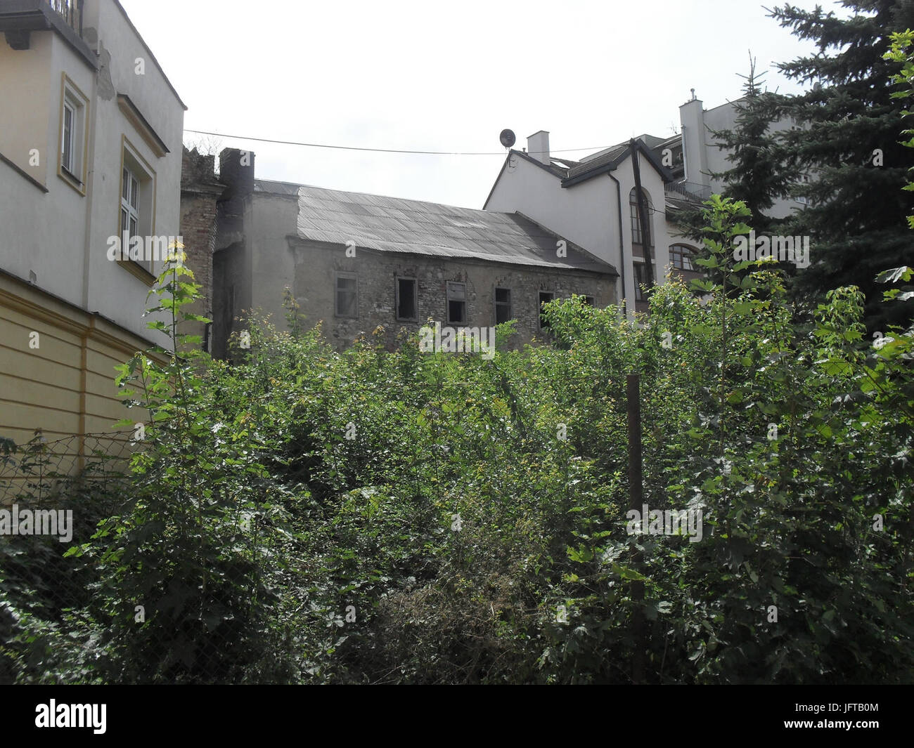 Sokola hi-res stock photography and images - Alamy