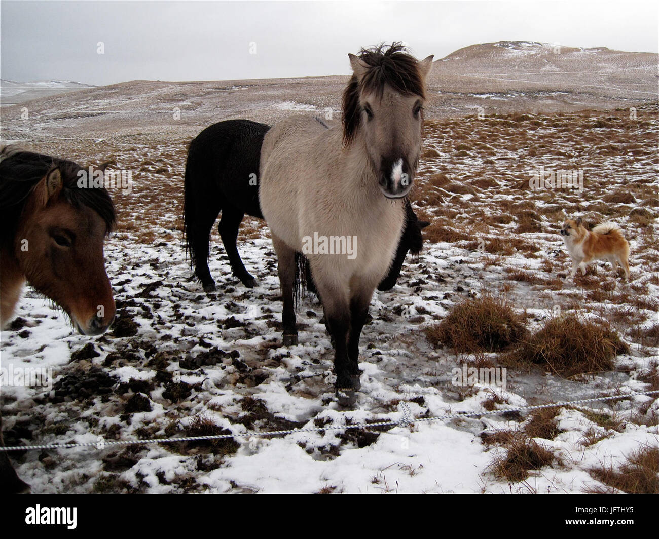 Hey human hi-res stock photography and images - Alamy