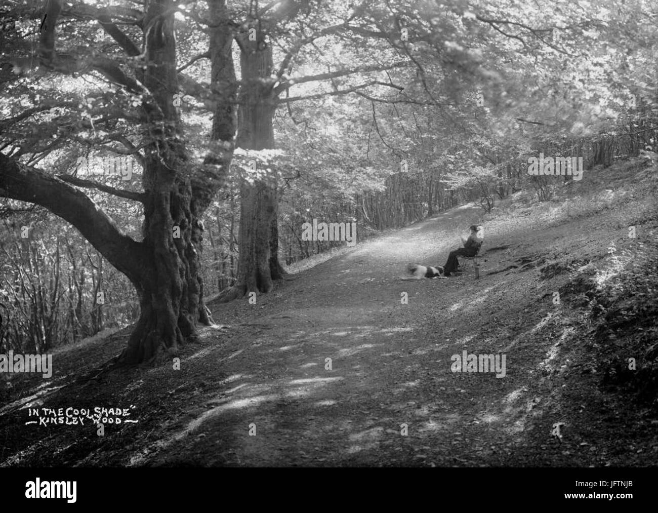 Wood reserves Black and White Stock Photos & Images - Alamy