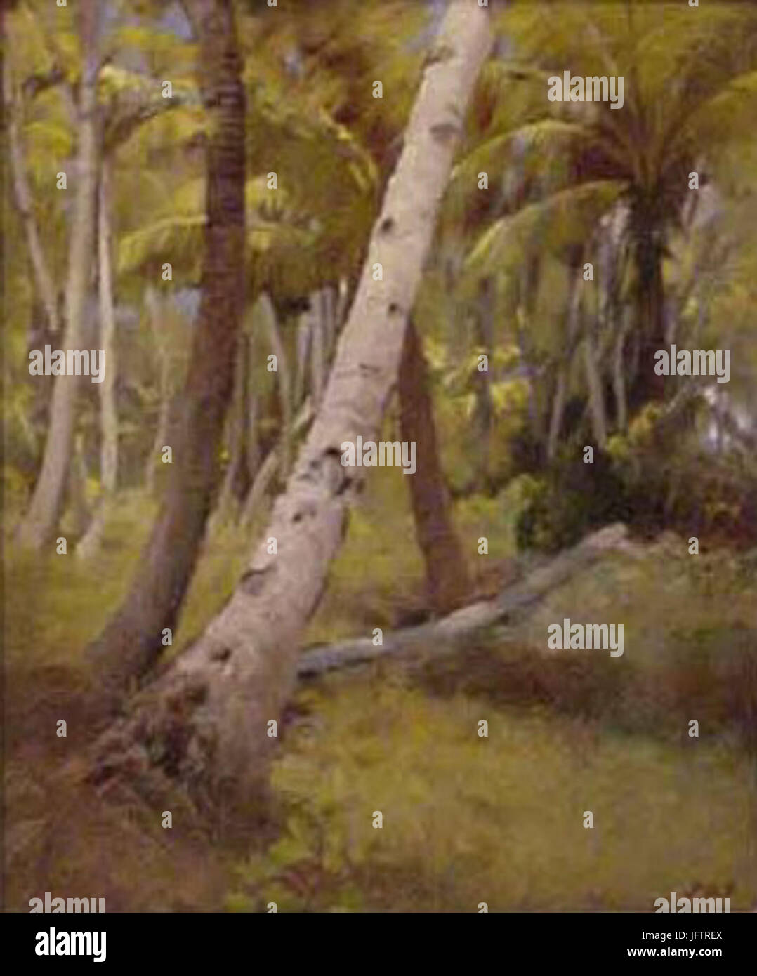 Apia Samoa by Joseph Strong 1894 oil on canvas Stock Photo - Alamy