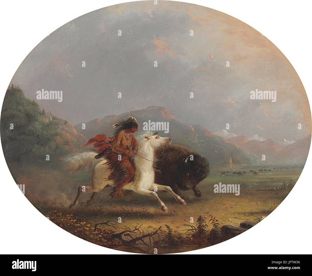 Pawnee Running a Buffalo by Alfred Jacob Miller Stock Photo - Alamy