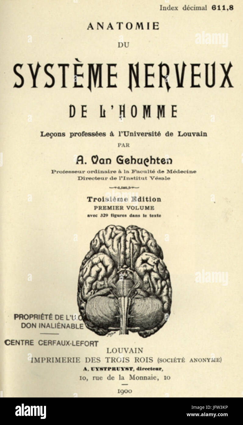 Anatomie homme hi-res stock photography and images - Alamy