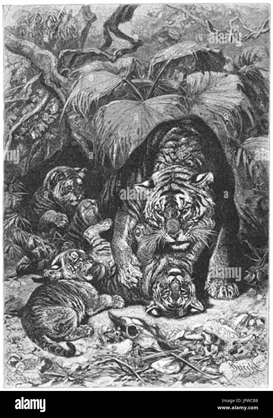 Zoography Black and White Stock Photos & Images - Alamy