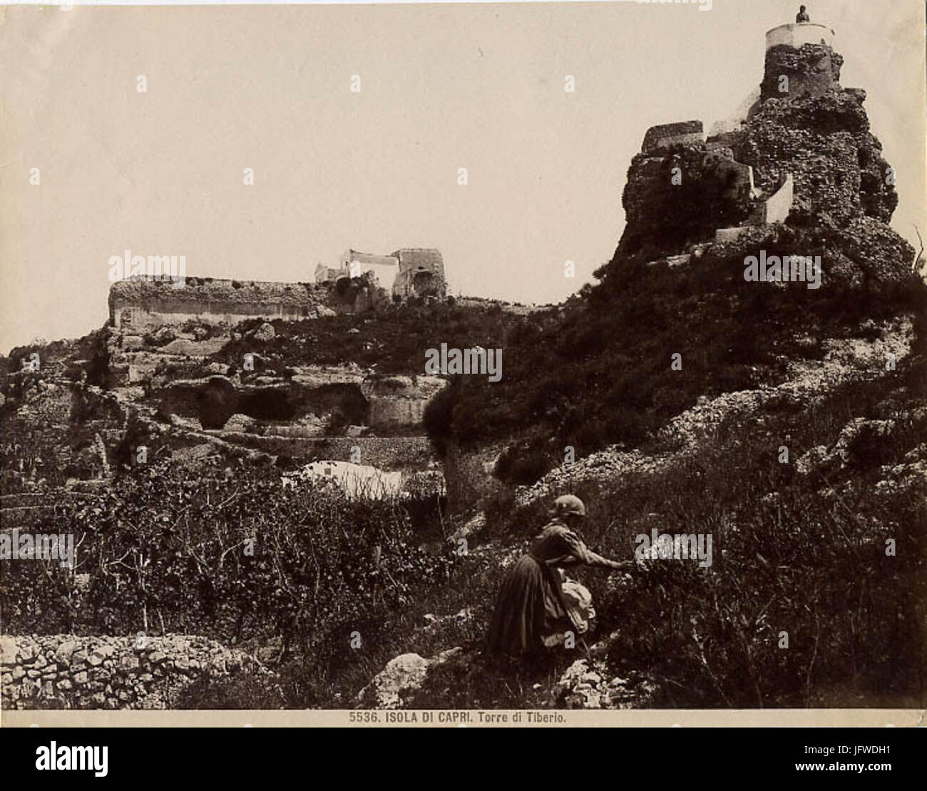 Brogi Giacomo 2818 -188129 - n. 5536 - Isola di Capri - Torre di ...