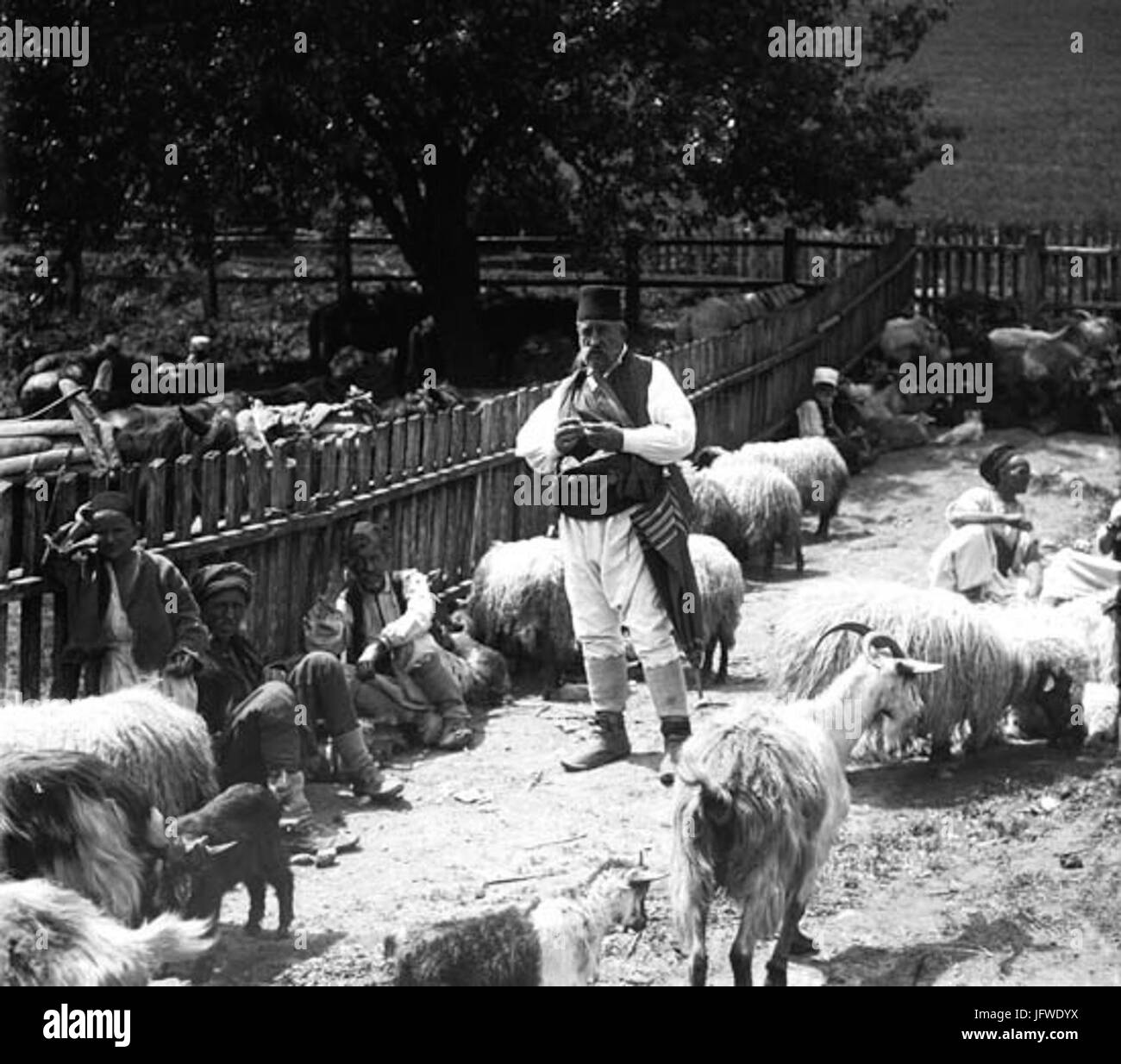 Capturing rural life in the early 20th century hi-res stock photography ...