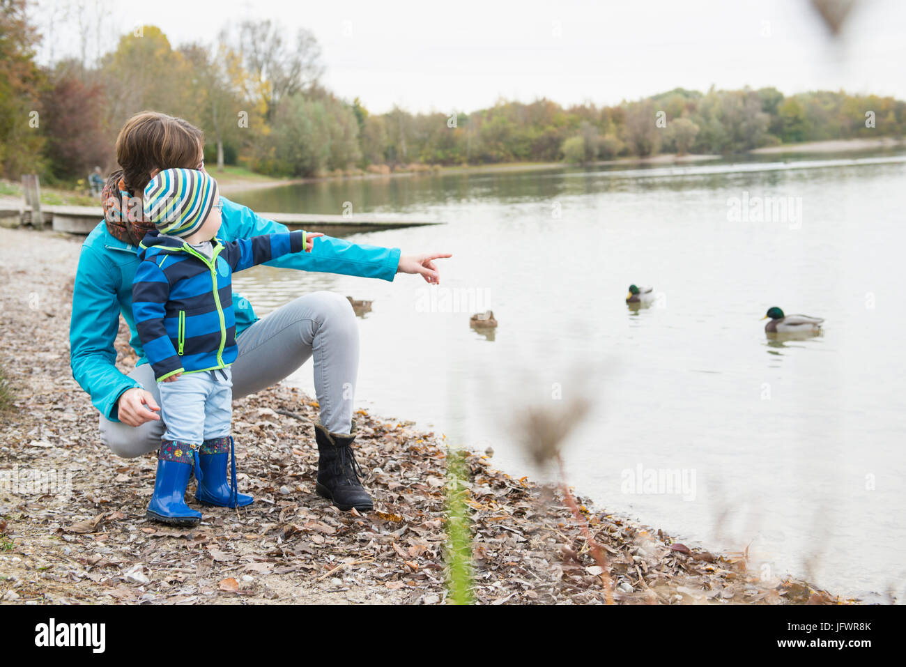 Mother and son pointing at ducks on a lake Stock Photo - Alamy