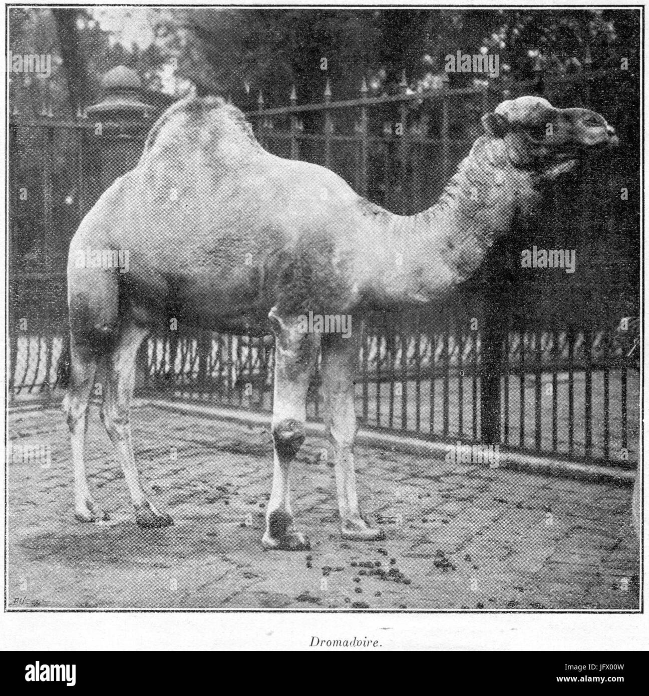 Outdoor plein air painting style Black and White Stock Photos & Images ...