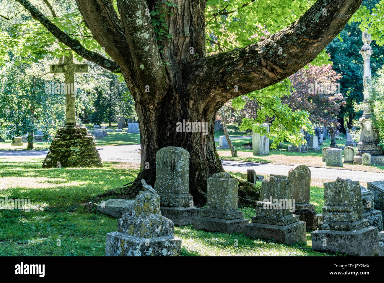 Lexington cemetery hi-res stock photography and images - Alamy