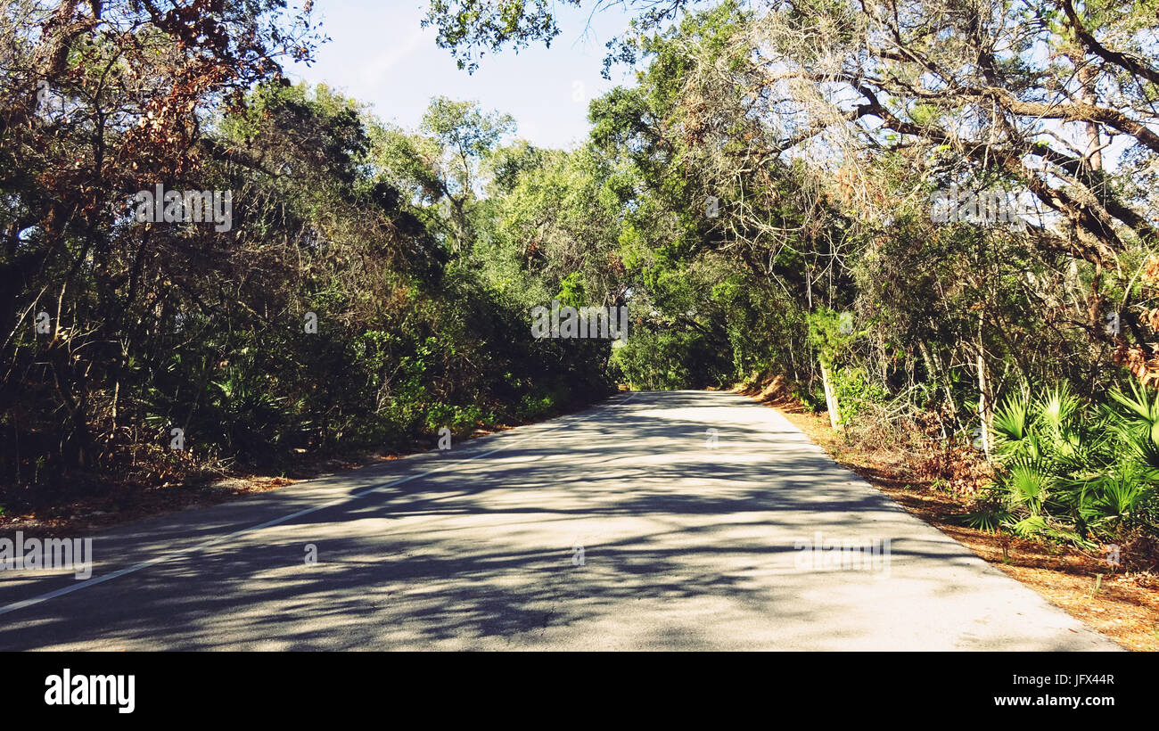 Road Cover by Forest Stock Photo - Alamy