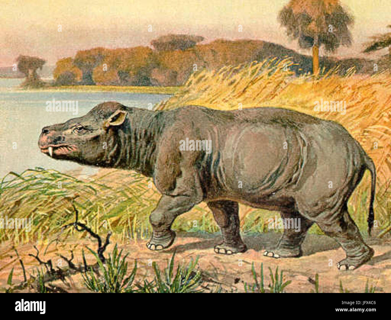 Paleocene illustration hi-res stock photography and images - Alamy