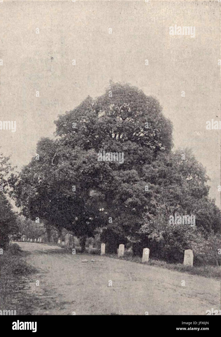 Babyka u PotC5A1tejna (Ševětínský Stock Photo - Alamy