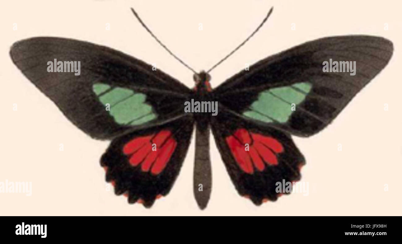 Eurimedes hi-res stock photography and images - Alamy