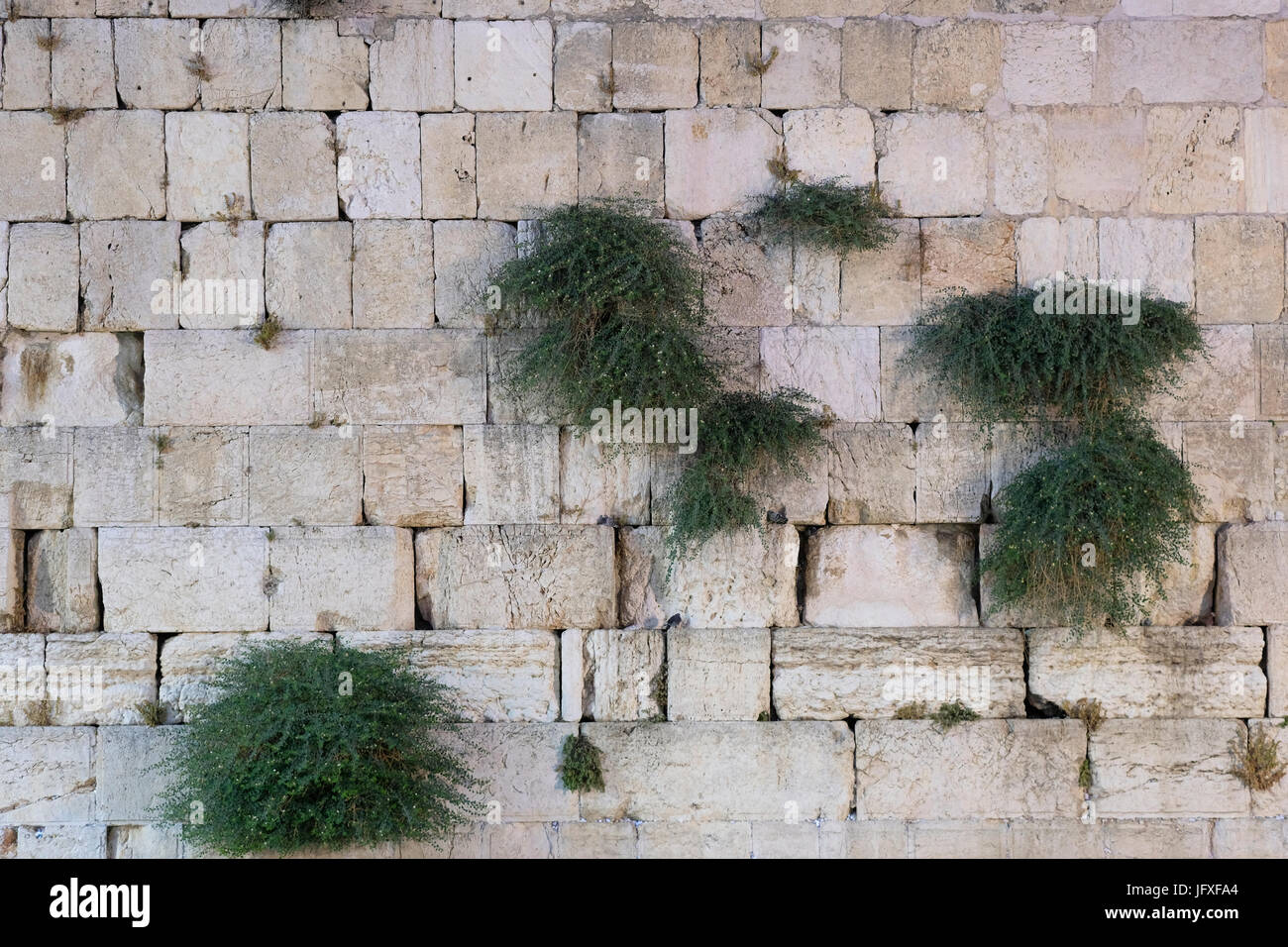 The ancient limestone wall of the Western Wall, Wailing Wall or Kotel ...