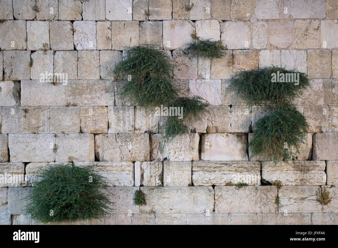 The ancient limestone wall of the Western Wall, Wailing Wall or Kotel ...