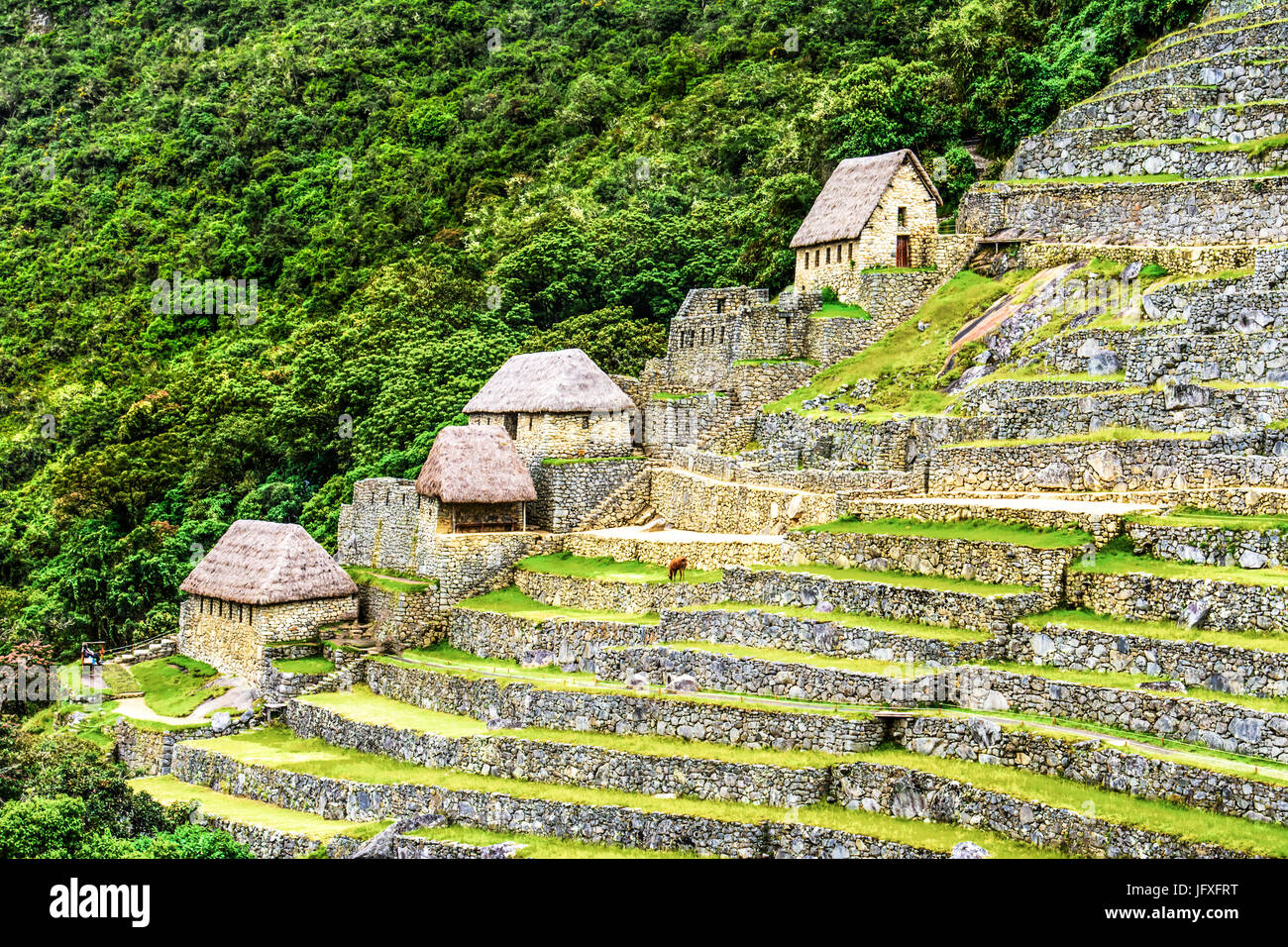 Guard house machu picchu peru hi-res stock photography and images - Alamy