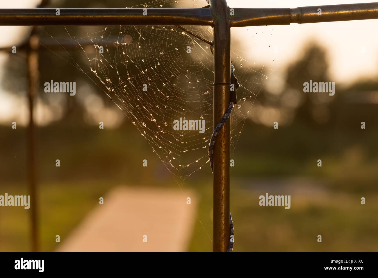 Old cobweb on iron bars Stock Photo - Alamy