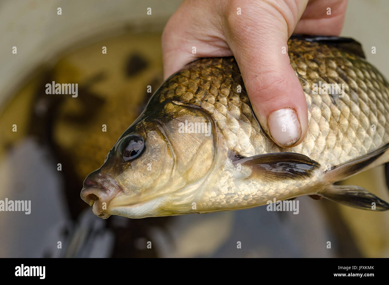 Show by hand hi-res stock photography and images - Alamy