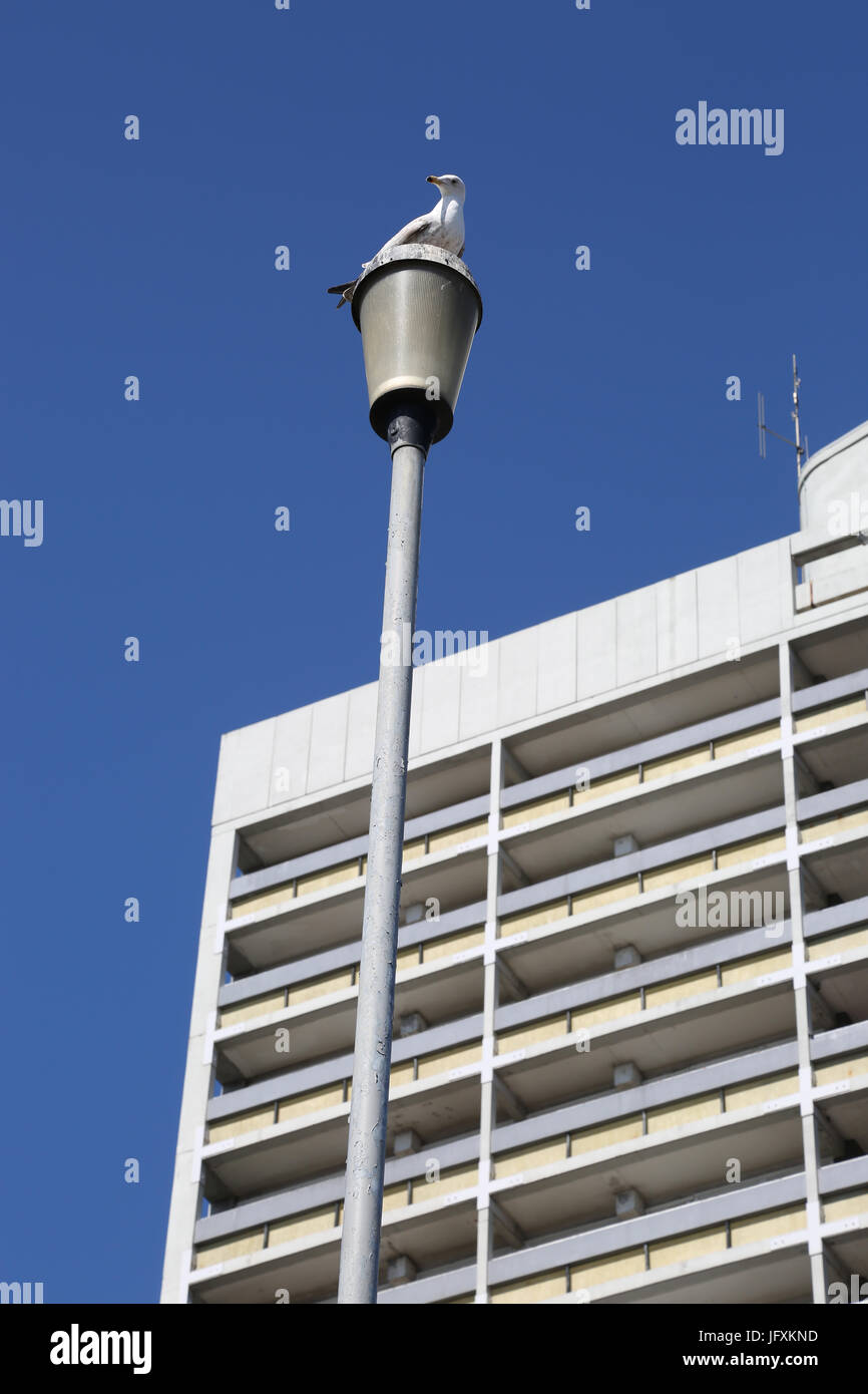 High Rise Tower Block in Aberdeen Stock Photo - Alamy