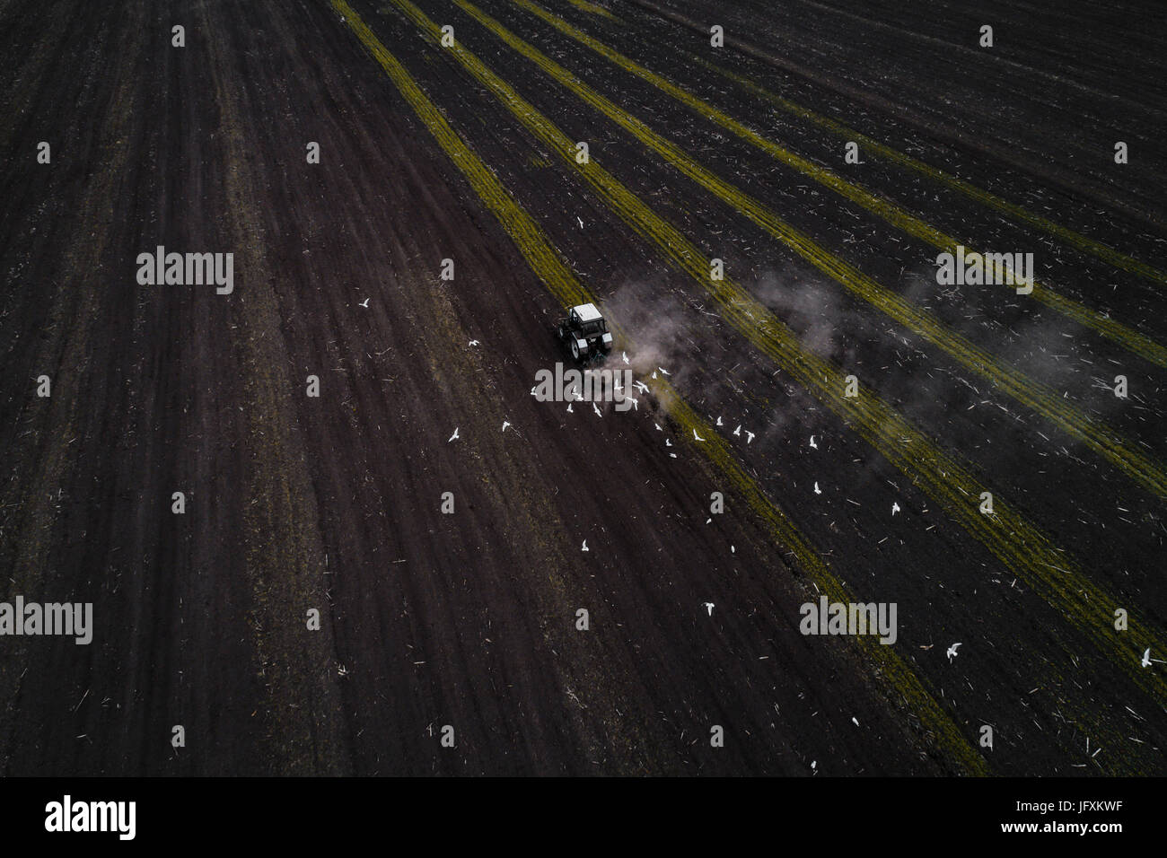 Tractor cultivating field at spring, aerial view Stock Photo - Alamy