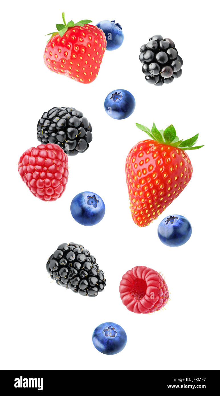 Isolated mixed berries in the air. Falling blackberry, raspberry ...