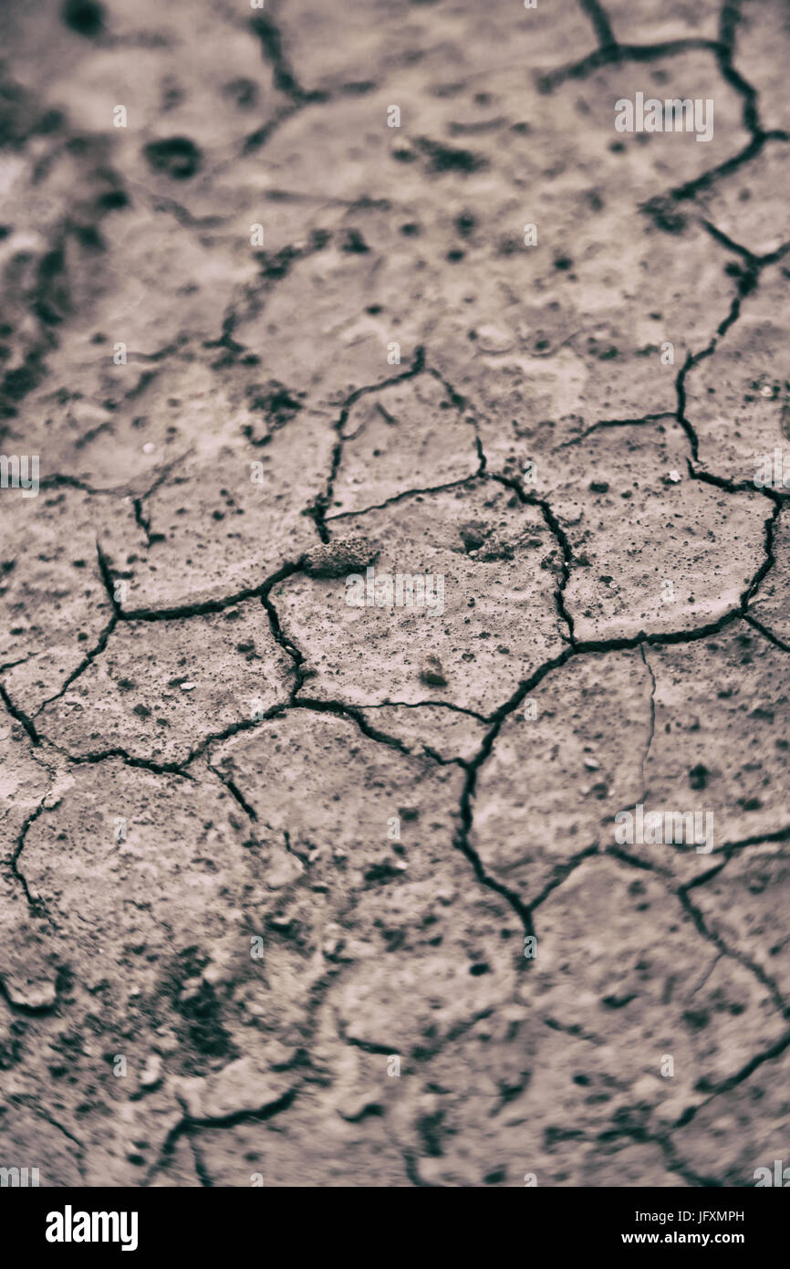 in the desert the dry ground like background texture Stock Photo - Alamy