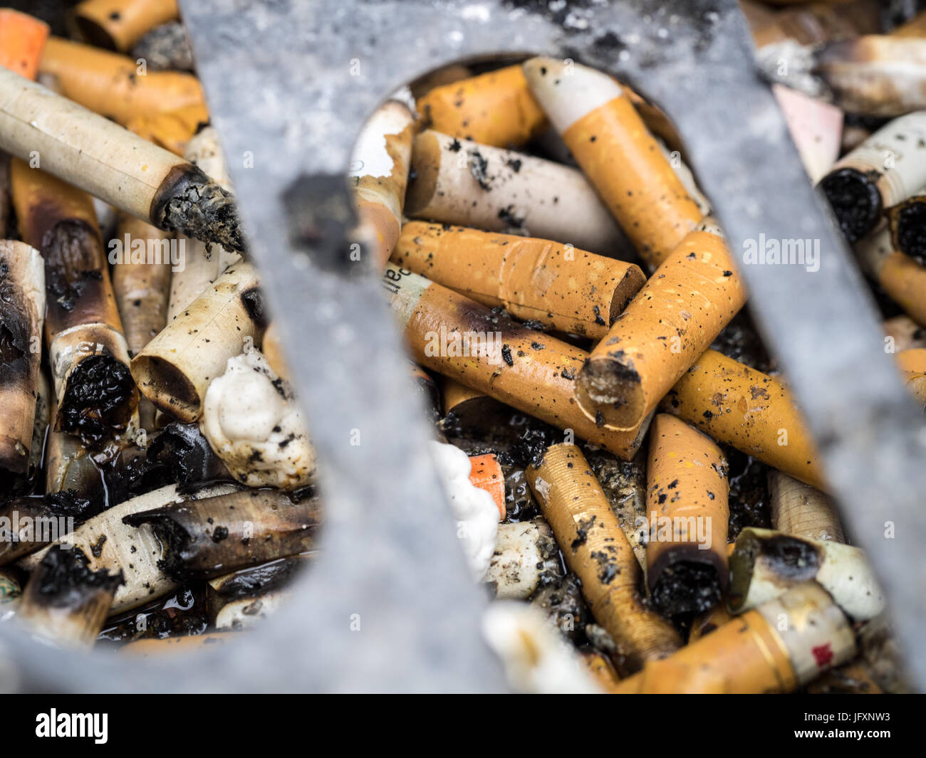 Stubbed out cigarettes in a public ashtray in London UK. Discarded ...