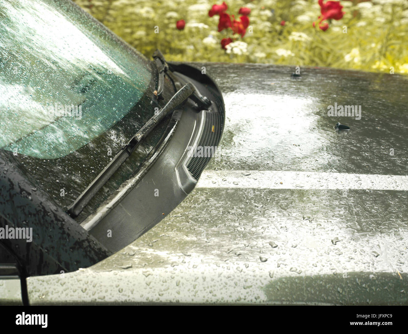 Water drops on car bonnet hi-res stock photography and images - Alamy