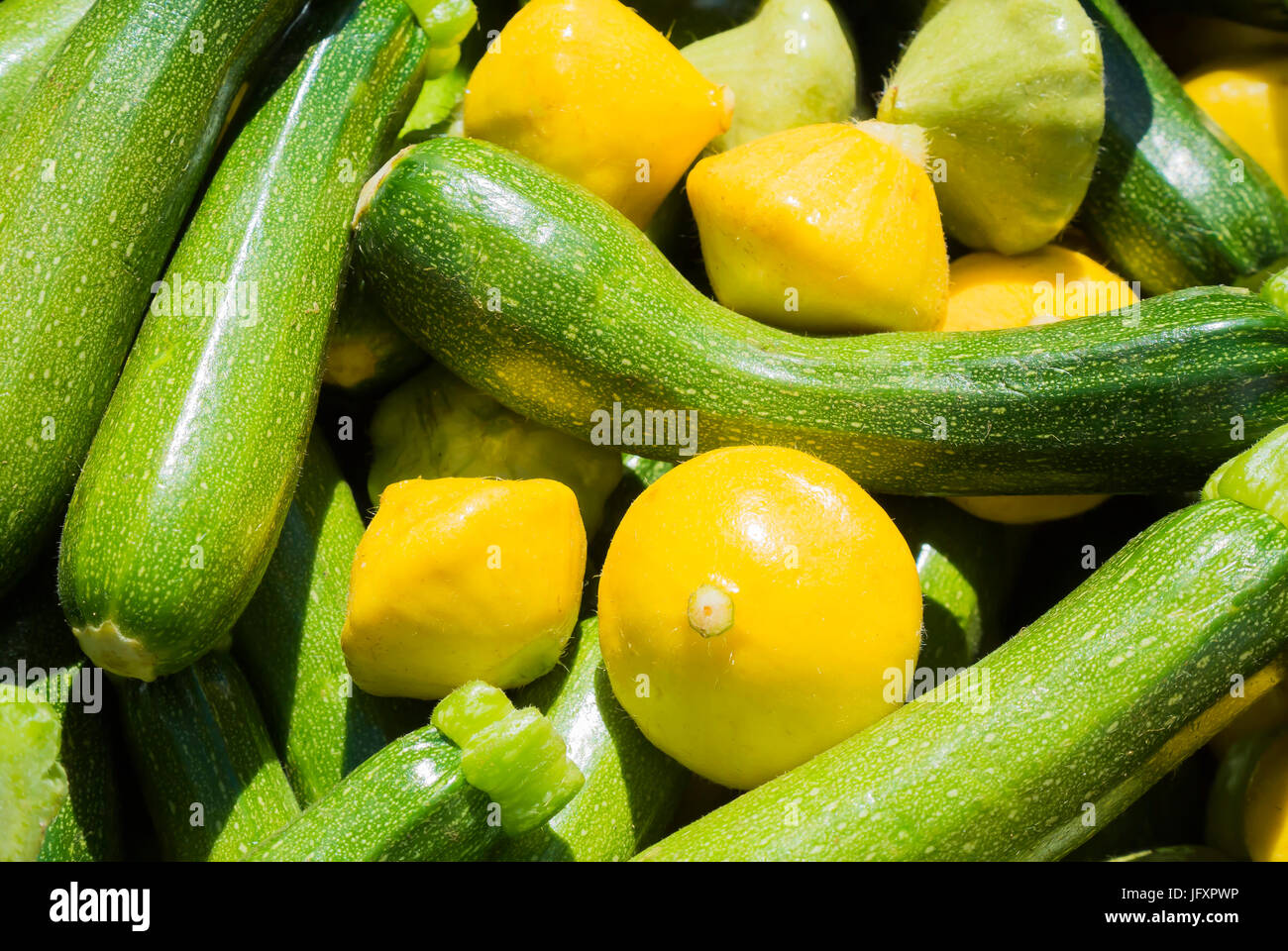 Summer Squash - Close Up Stock Photo - Alamy