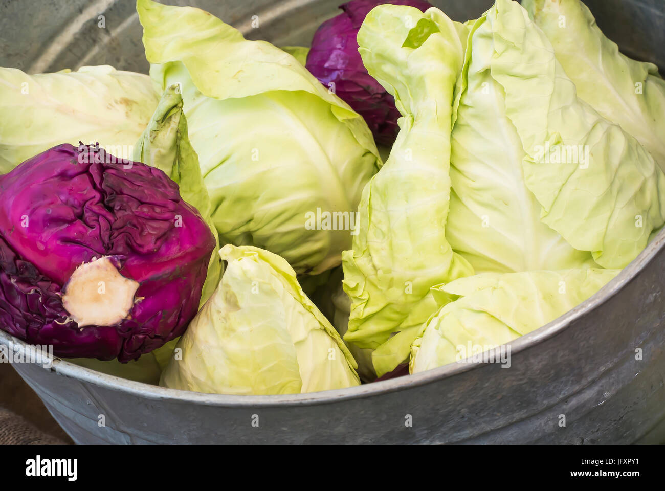 Metal bin and food hi-res stock photography and images - Alamy