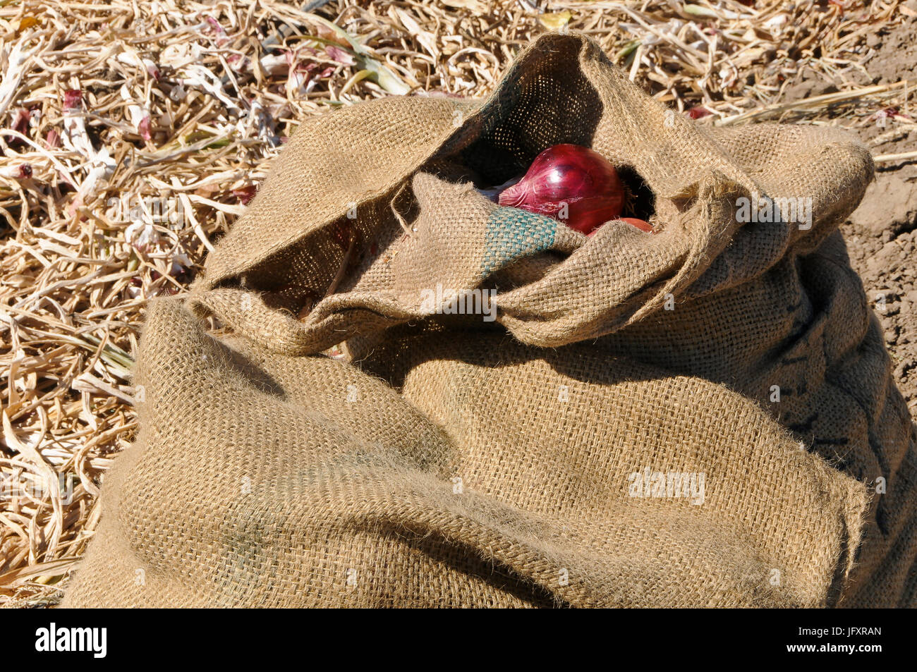 Bag red onions hi-res stock photography and images - Alamy