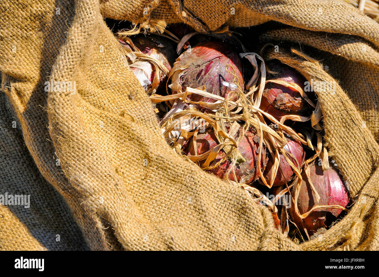 Harvested Red Onions in Burlap Bag Stock Photo - Alamy