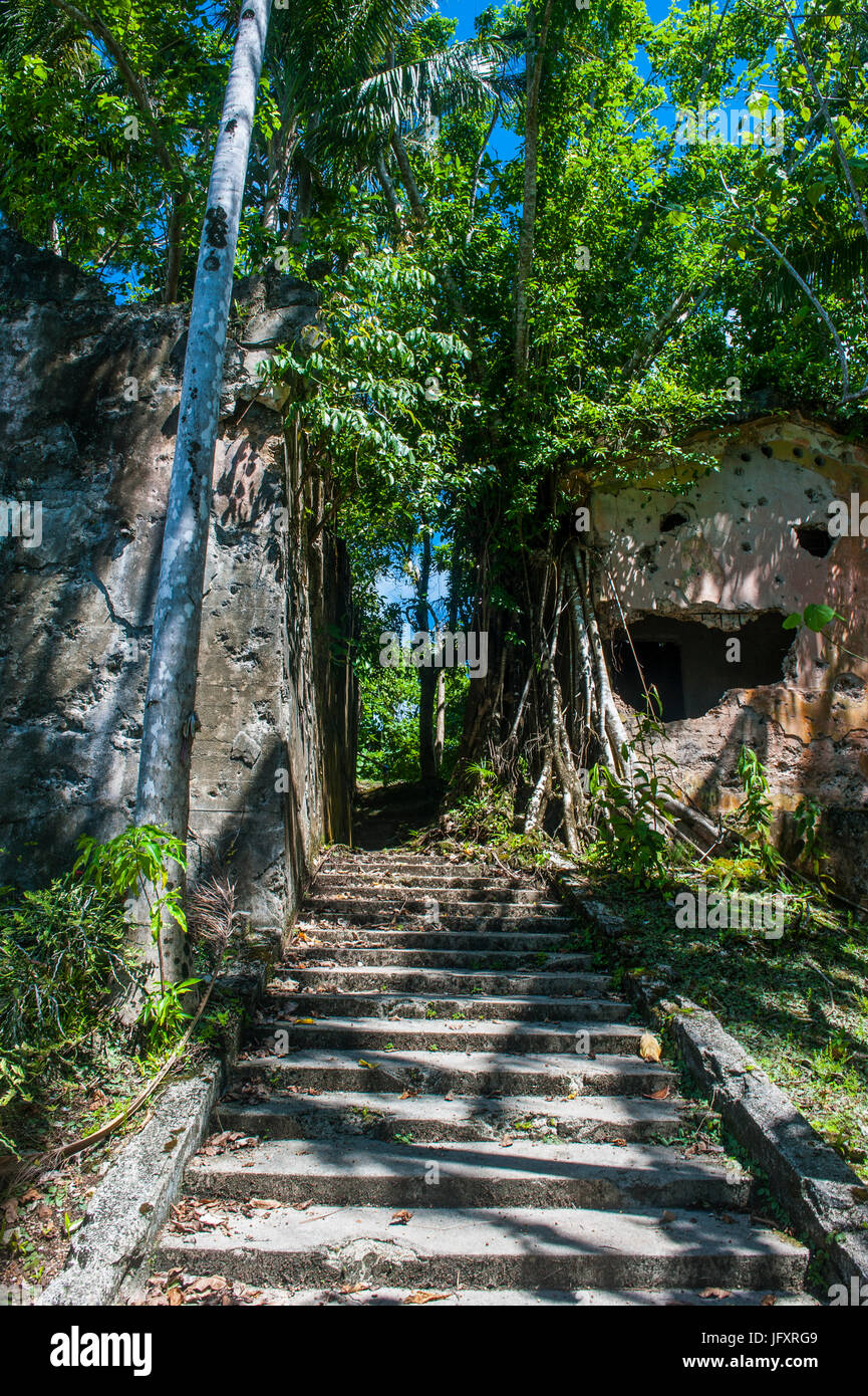 Island of babeldoab hi-res stock photography and images - Alamy