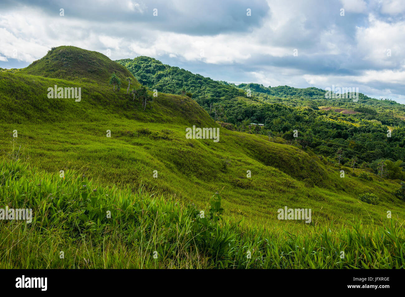 Island of babeldoab hi-res stock photography and images - Alamy