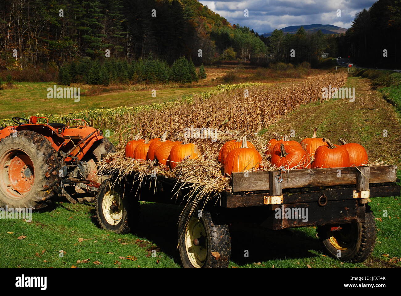 Farm pictures hi-res stock photography and images - Alamy