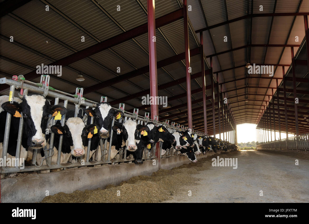 Fresno farm hi-res stock photography and images - Alamy