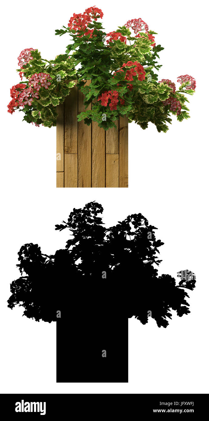Tree alpha mask hi-res stock photography and images - Alamy