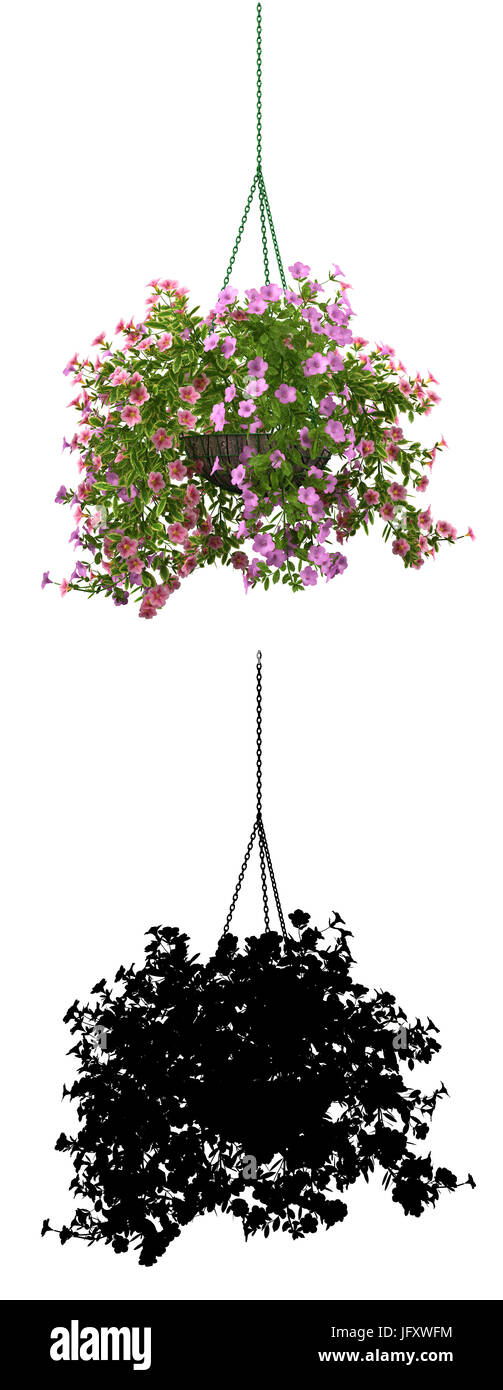 Tree alpha mask hi-res stock photography and images - Alamy