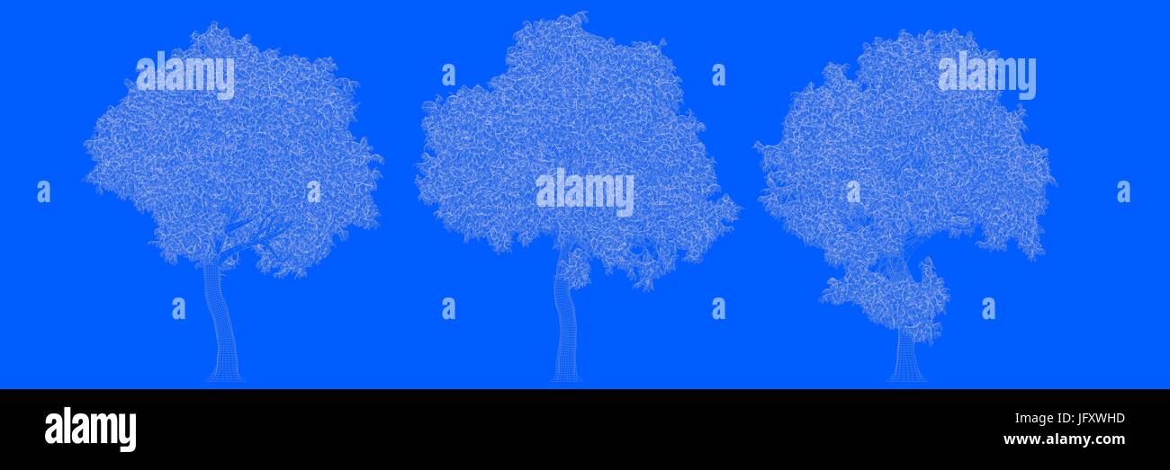 3d rendering of three trees as lines on a blue background Stock Photo ...