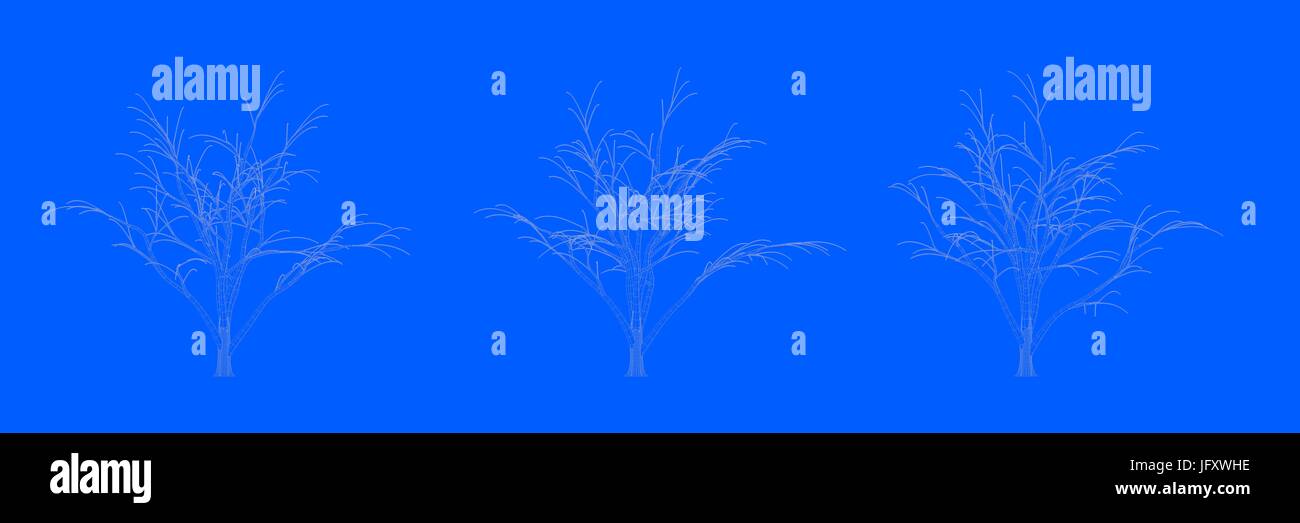 3d rendering of three trees as lines on a blue background Stock Photo ...